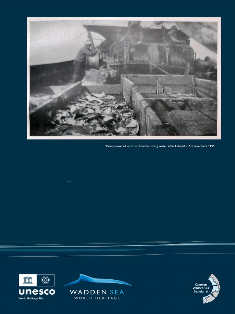SHIRE Project Report FINAL | PDF