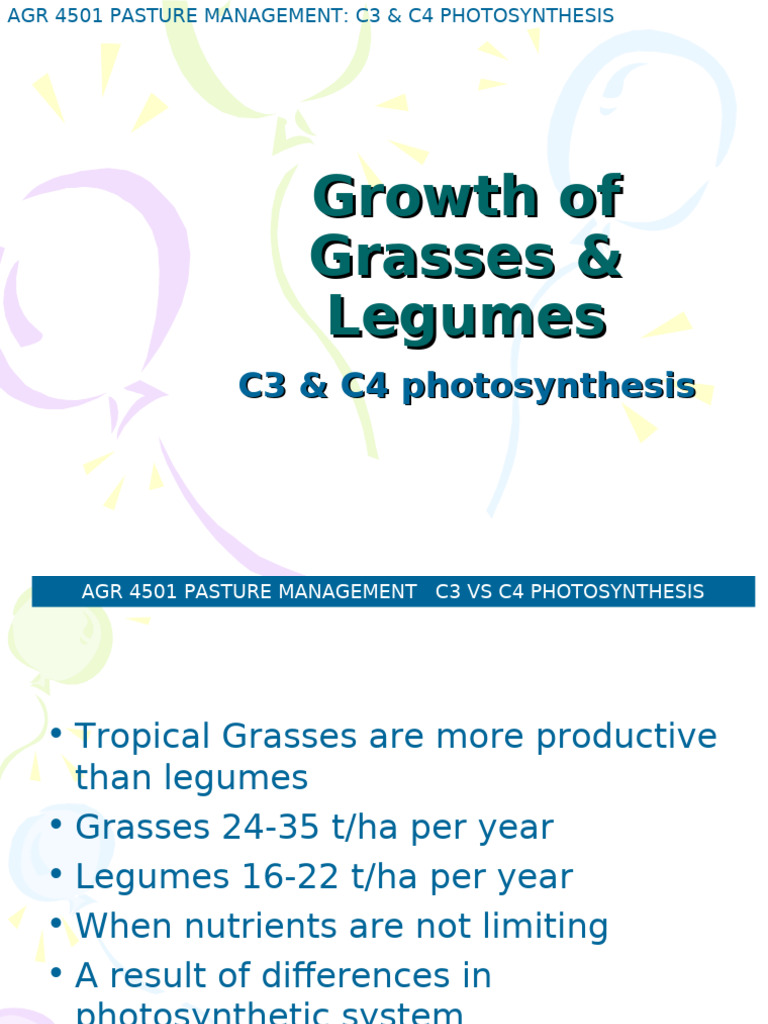 Lecture 3 Photosynthesis Grasses & Legumes | PDF | Photosynthesis | Stoma