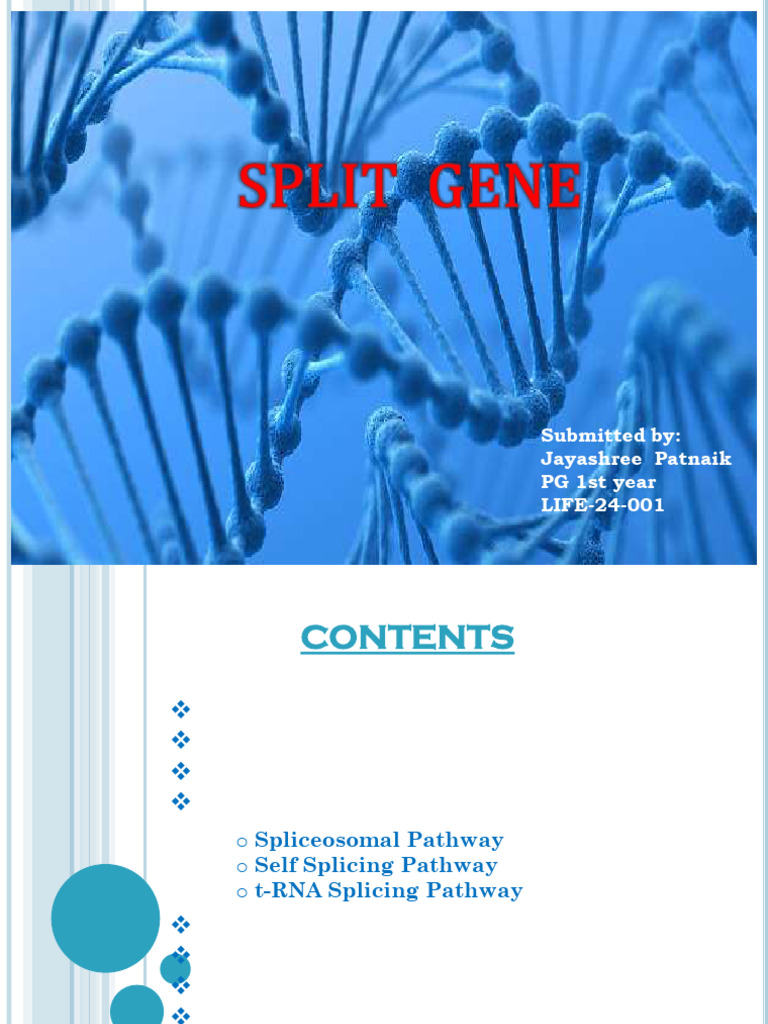 Understanding Split Genes and Splicing | PDF | Rna Splicing | Intron