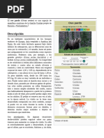 Ursidae | PDF | Osos | Depredadores