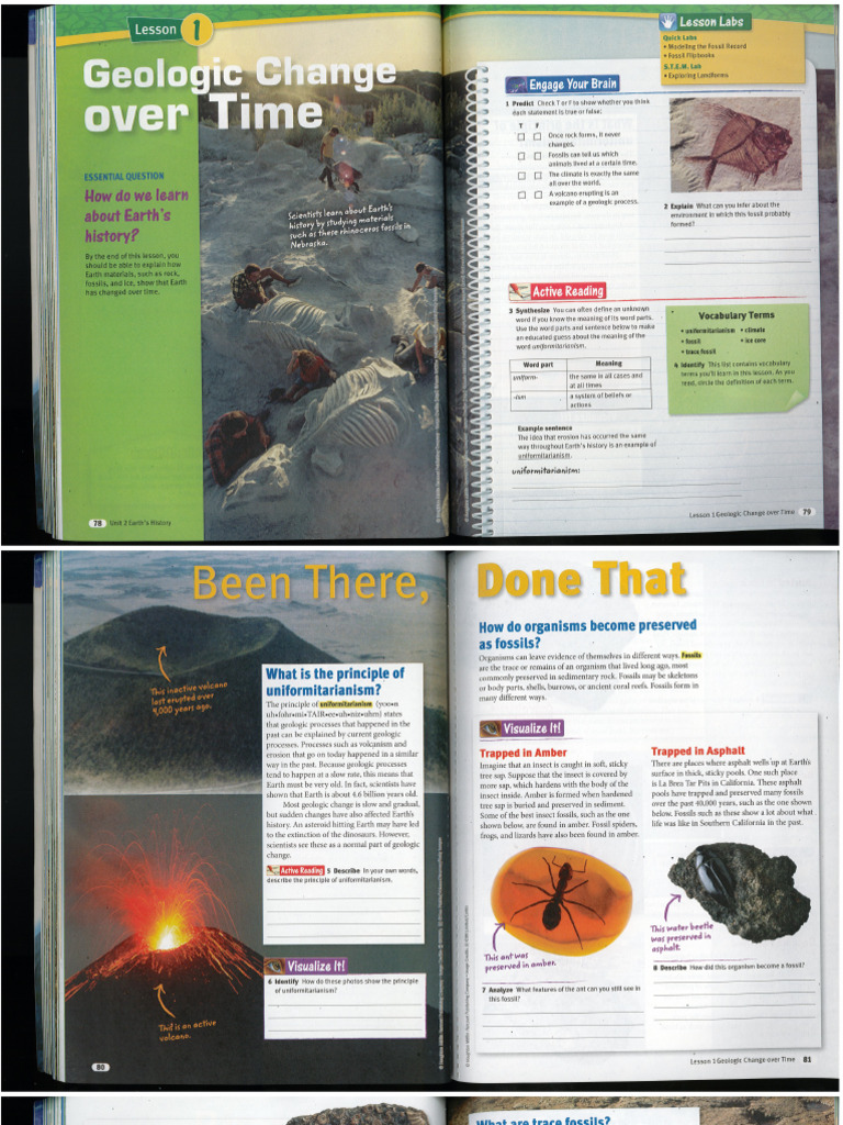Activity 5 Geologic Change Over Time Reading | PDF