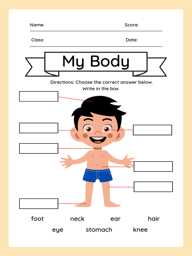 Minimalist Boy Body Parts Worksheet | PDF