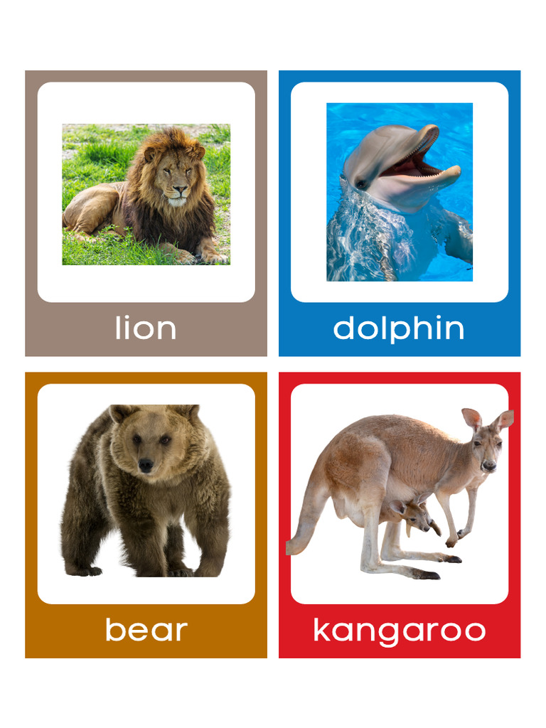 Flash Cards Animals | PDF