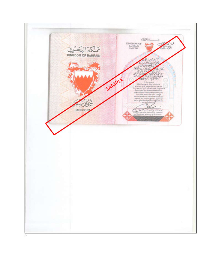 Sample - Passport Scan | PDF