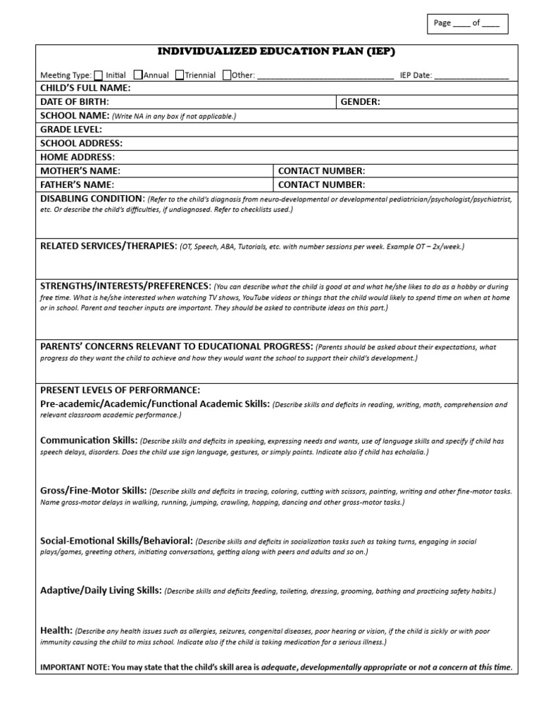 Individualized Education Plan (IEP) Template | PDF | Individualized ...
