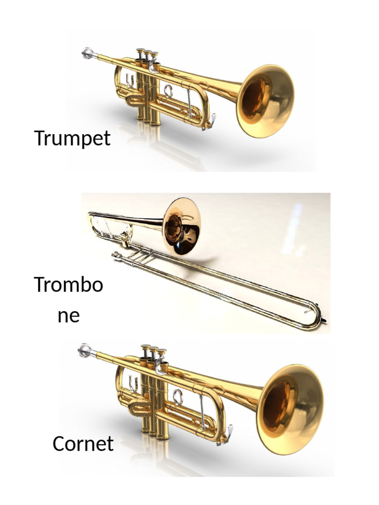 Brass Instrumment | PDF
