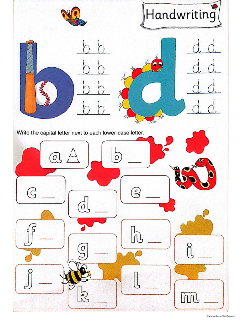 Handwriting B and D and Capital Letters | PDF