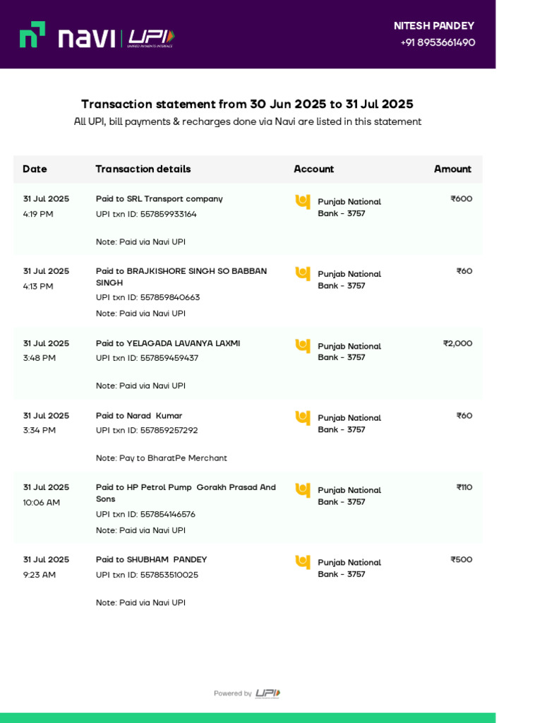 Navi Statement 30062025-31072025 31072025174548638 | PDF