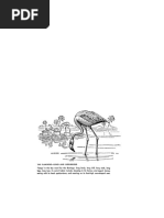 Hudhud: The Hoopoe Bird Explained | PDF | Birds | Ornithology