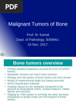 Lodwick Classification for Bone Tumor Growth | PDF | Medical Imaging ...