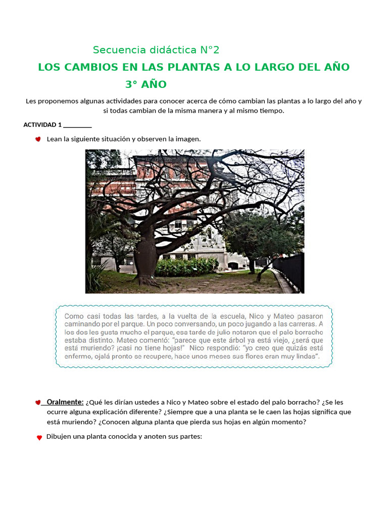 Los Cambios en Las Plantas Guille 2025 | PDF | Plantas | Botánica