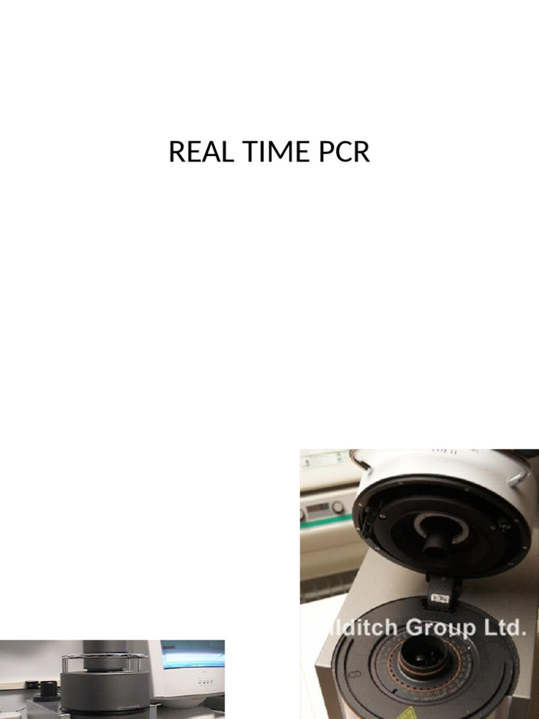 Real Time Pcr | PDF