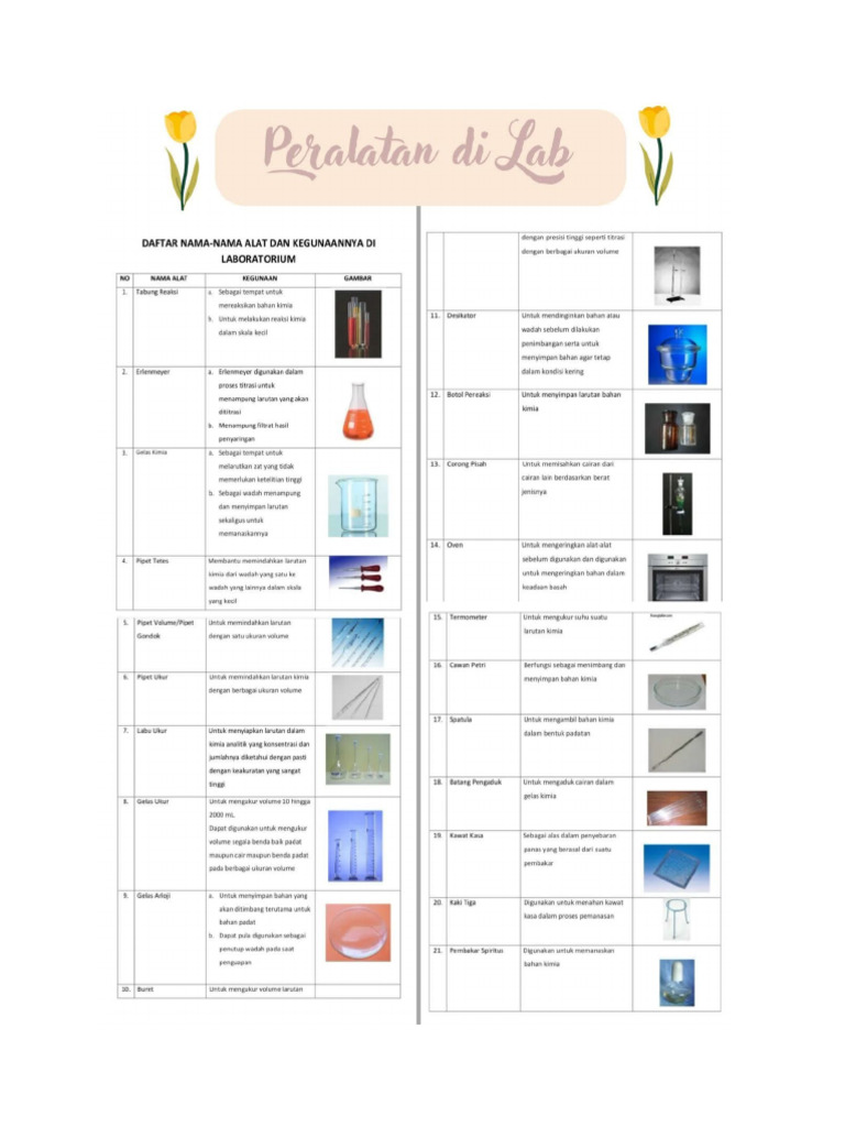 Alat Sains | PDF