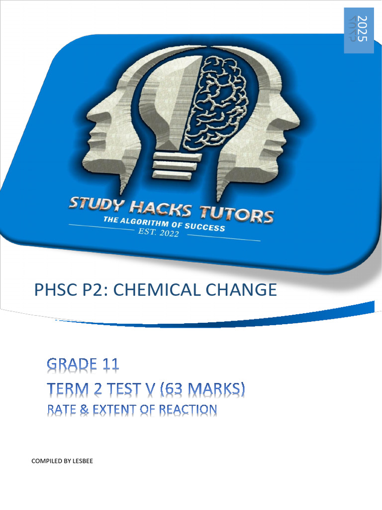 t2 Test Vi-G12 & RW PHSC Chemical Change | PDF