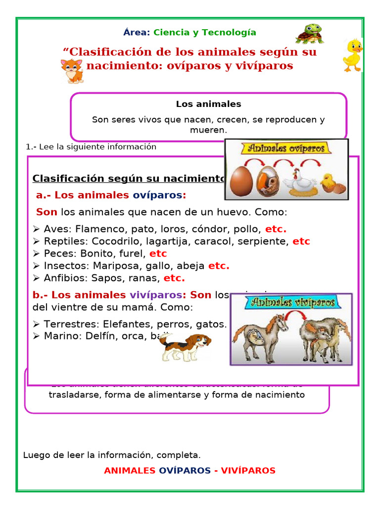 Ficha de Aplicacion Como Nacen Los Animales Ciencia y Tecnología ...