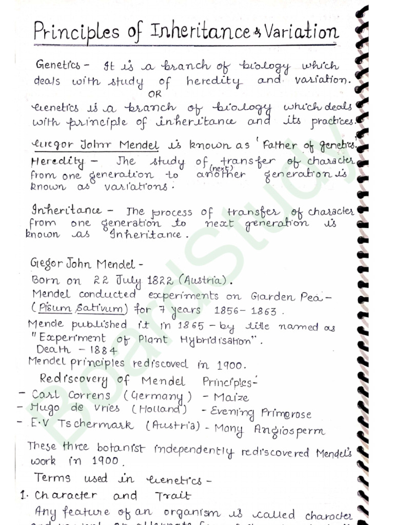 Inheritance Notes | PDF