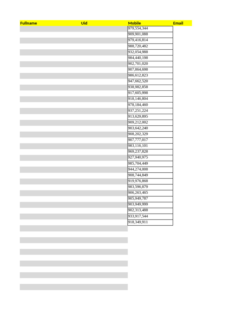 AkaBiz Auto Template | PDF
