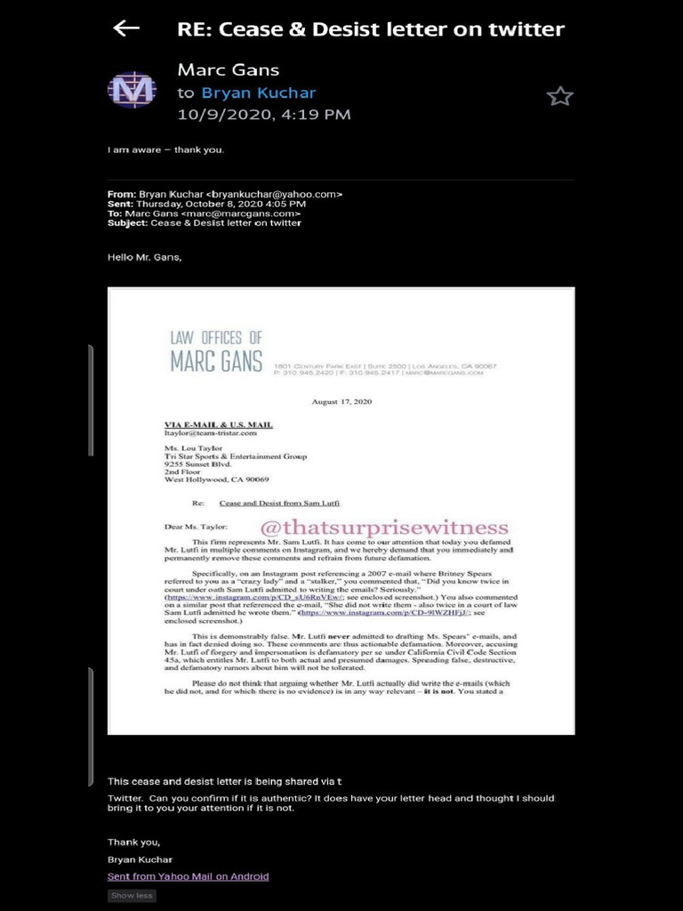 Attorney Marc Gans, Lou Taylor Counsel Vivid IP, Brittany Courville ...