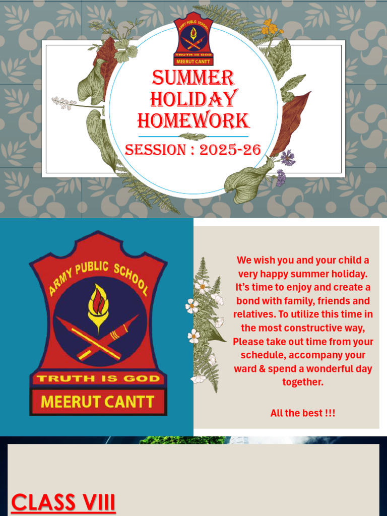 Class Viii Summer HHW 2025-26 | PDF | Solar Power | Renewable Energy