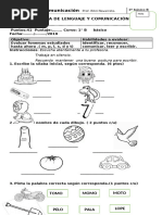 Prueba de Lenguaje M L P S D T Primero Basico | PDF
