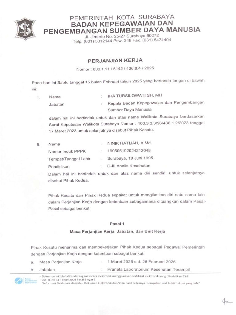 Bppd Compressed | PDF