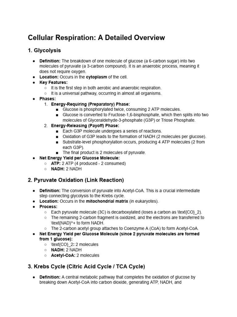 Cellular Respiration - Glycolysis, Krebs Cycle, ETC | PDF | Adenosine ...