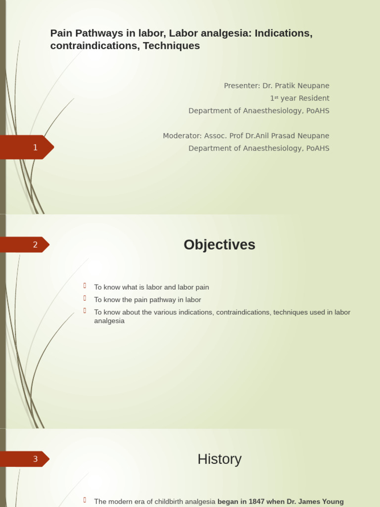 Labor Pain Pathways and Analgesia Techniques | PDF | Childbirth | Analgesic