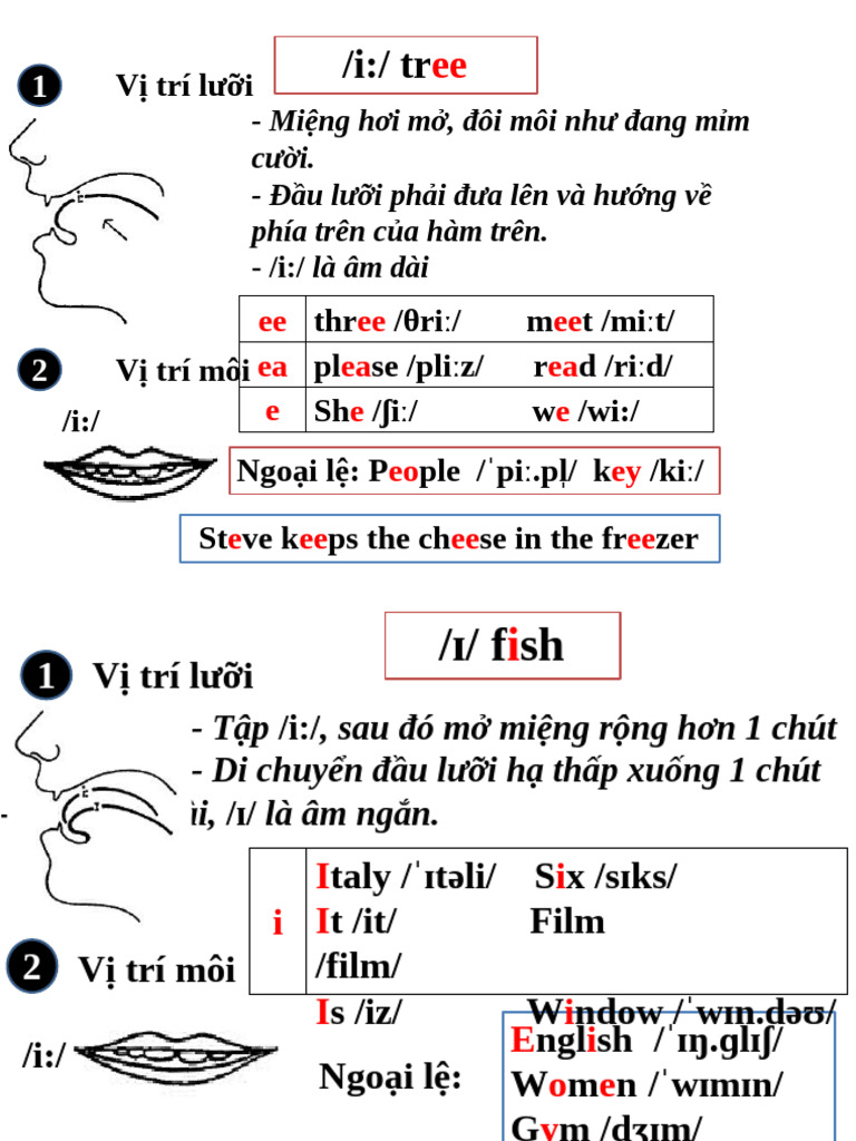 44 English Sounds | PDF