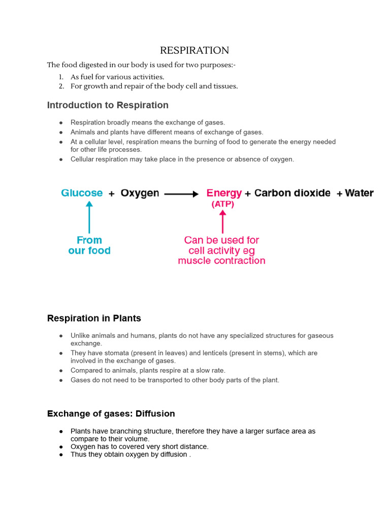 Plant Respiration and Gas Exchange | PDF