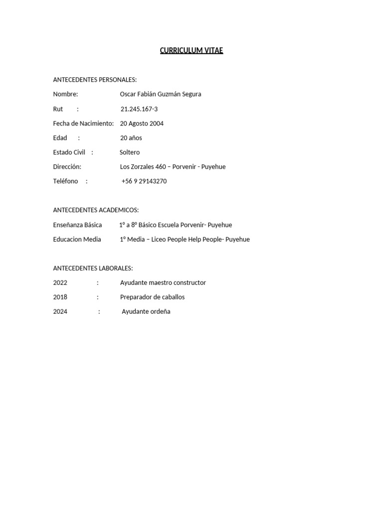 Curriculum Vitae Oscar Guzman | PDF