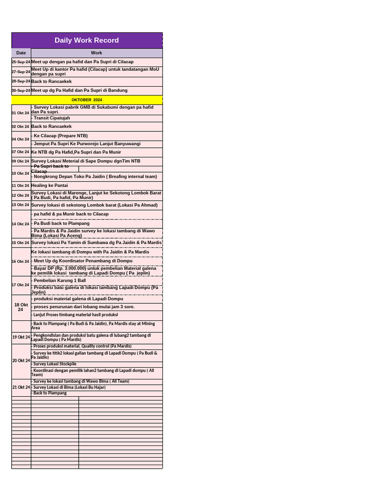 Daily Work Report | PDF