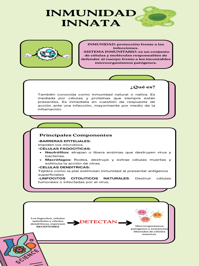Inmunidad Innata PDF | PDF | Sistema inmune | Inflamación