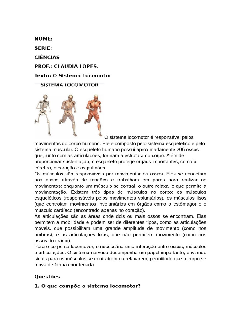 Atividade Sistema Locomotor Pdf Músculo Corpo Humano