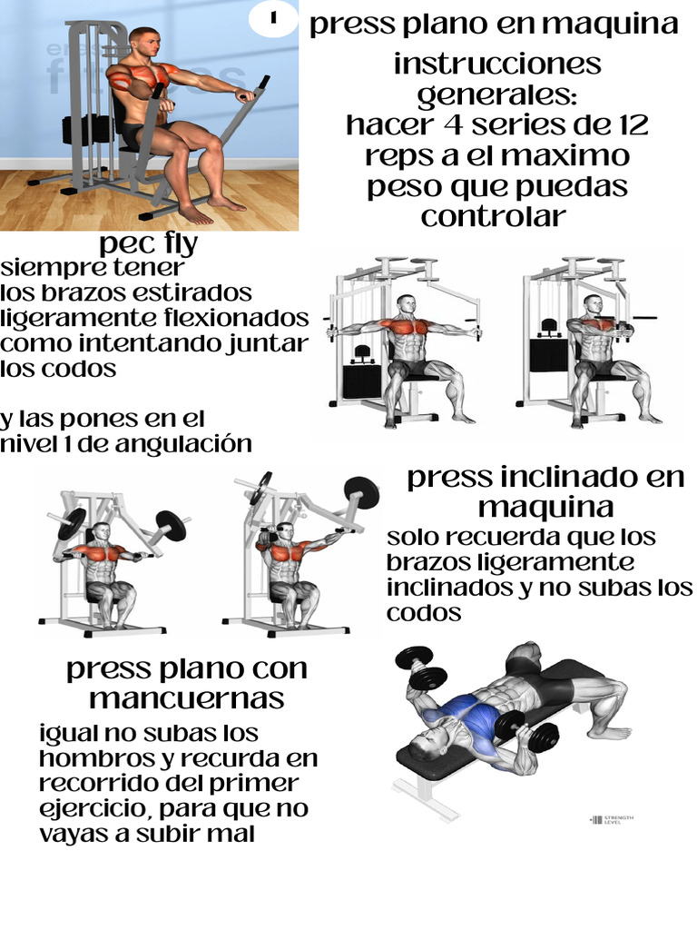 Press de Pecho Plano | PDF