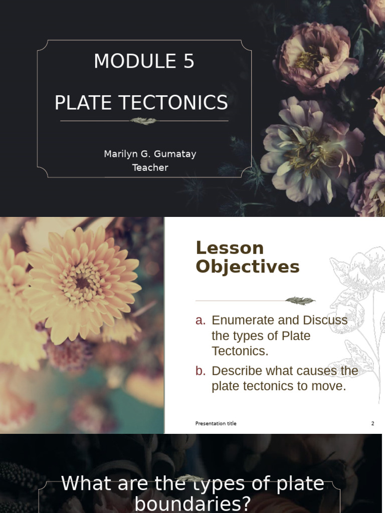 Module 5 PLATE TECTONICS | PDF | Plate Tectonics | Geology
