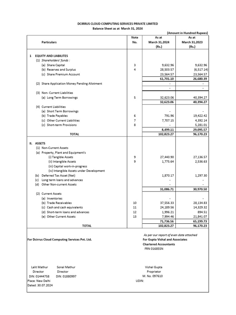 Dcirrus Draft Balance Sheet - FY 2023-24 | PDF | Equity (Finance ...