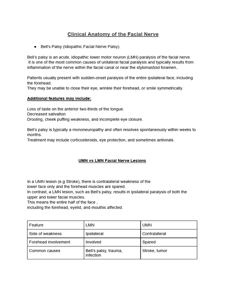 Clinical Anatomy of The Facial Nerve | PDF