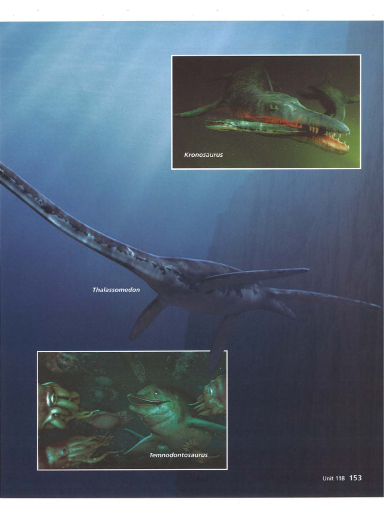 Reading Explorer Foundation SB 154 | PDF