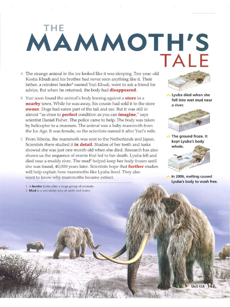 Reading Explorer Foundation SB 148 | PDF