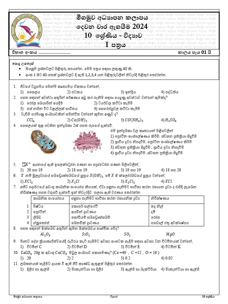 Science Paper - 1 - Grade 10-SM | PDF