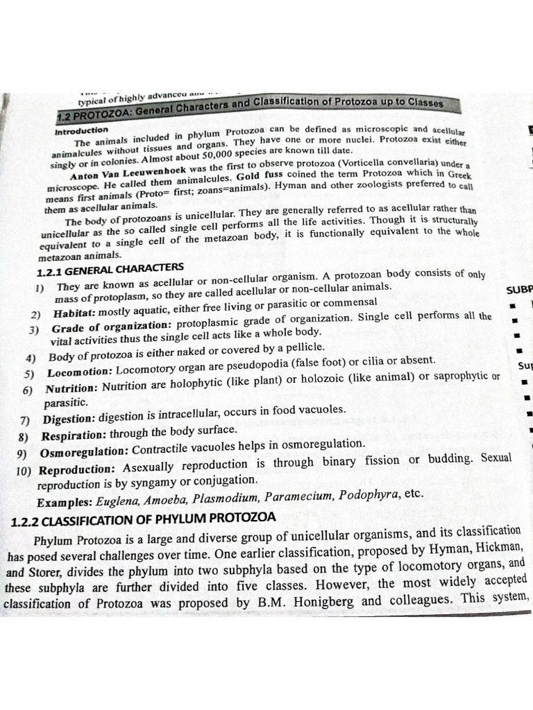 Zoology Notes | PDF