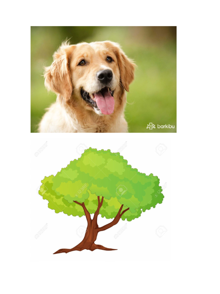 Consonante Inicial Formar Palabras | PDF