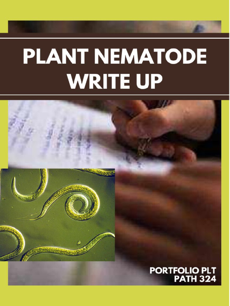 A. Plant Nematode Write Up. | PDF | Nematode | Biology