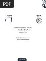 Tecnica Gow Gates | PDF | Anatomía humana | Anatomía