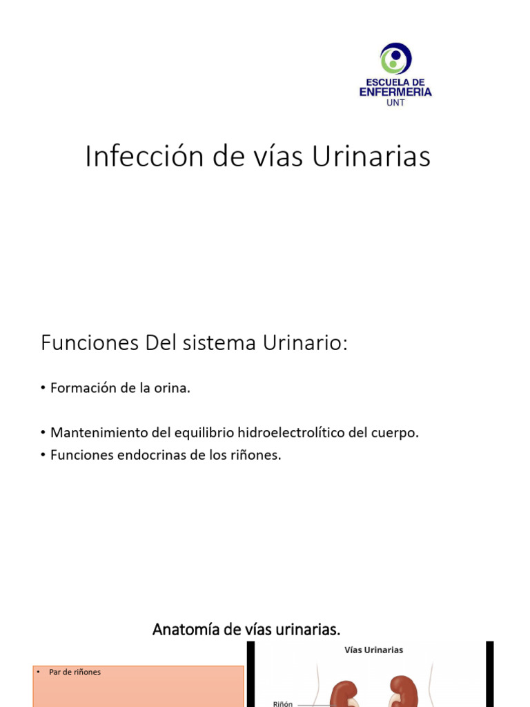 Infeccion de Vias Urinarias | PDF | Sistema urinario | Infección del ...