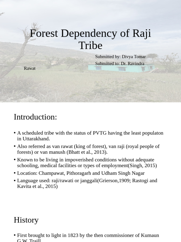 Forest Dependency of Raji Tribe | PDF | Forests | Governance