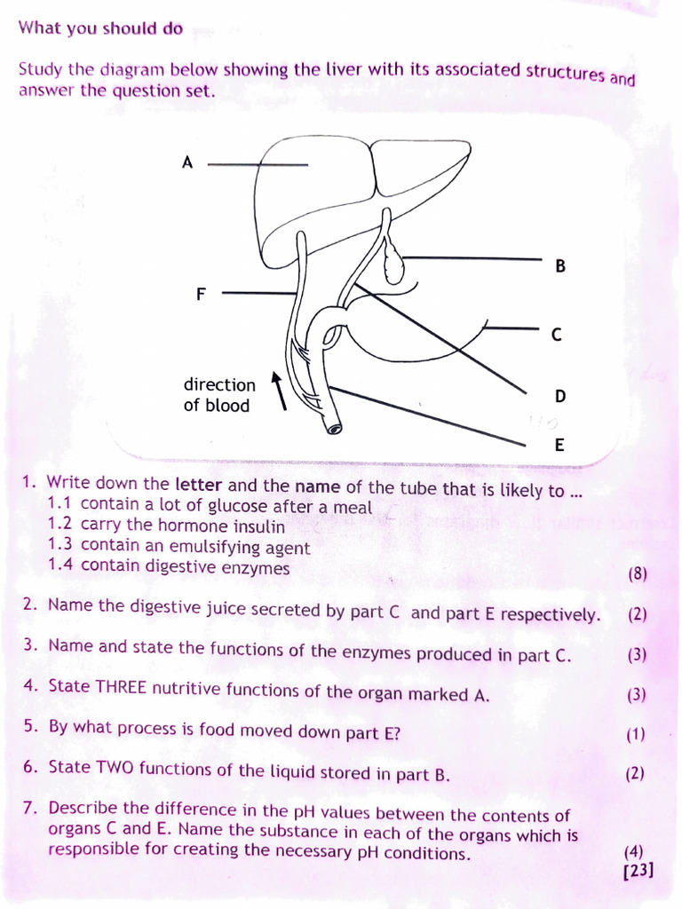 2nd Act | PDF