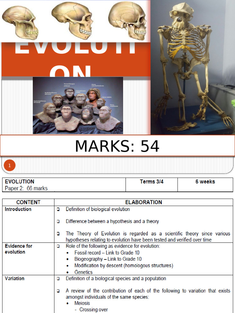 Grade 12 Evolution Concepts Overview | PDF | Evolution | Meiosis
