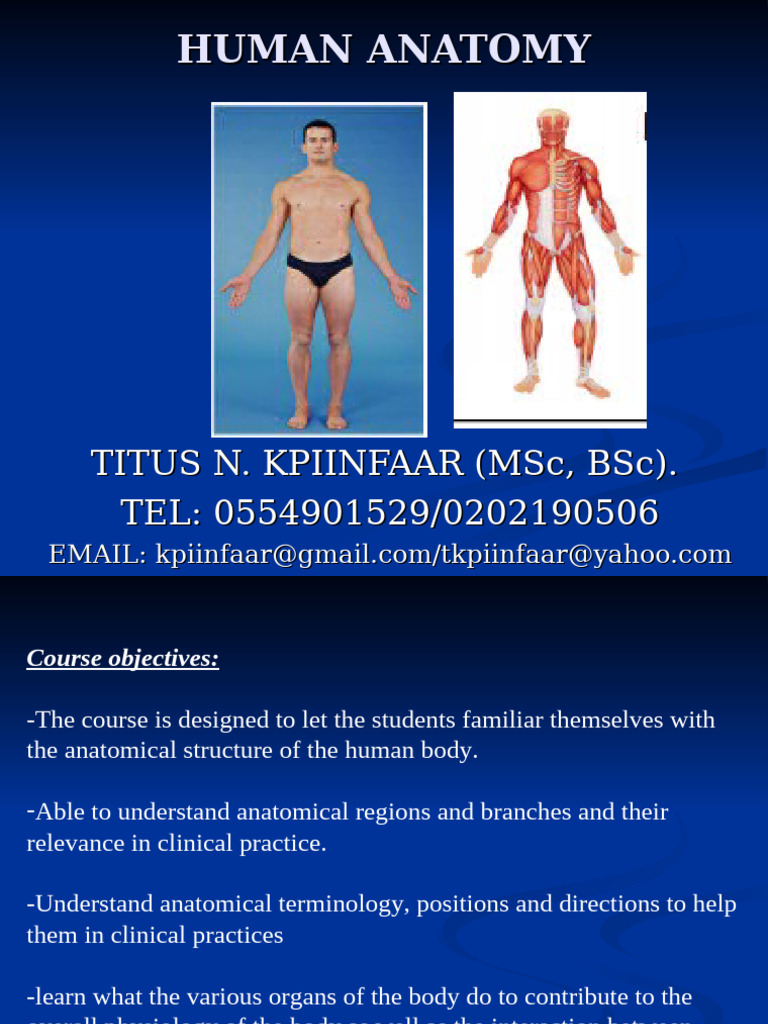Introduction to Human Anatomy | PDF | Anatomical Terms Of Location ...
