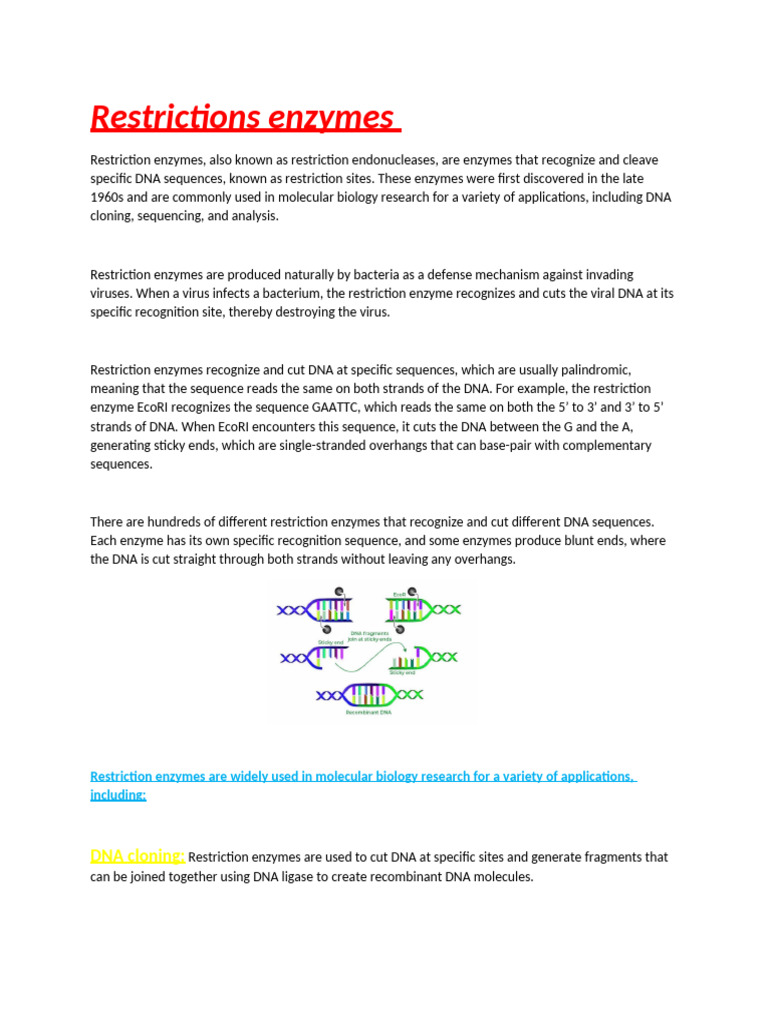 Restriction Enzymes | PDF